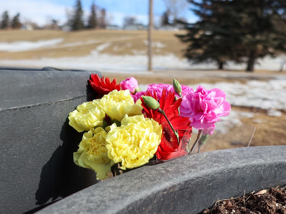Calgary police release image of woman whose body was found in park ...