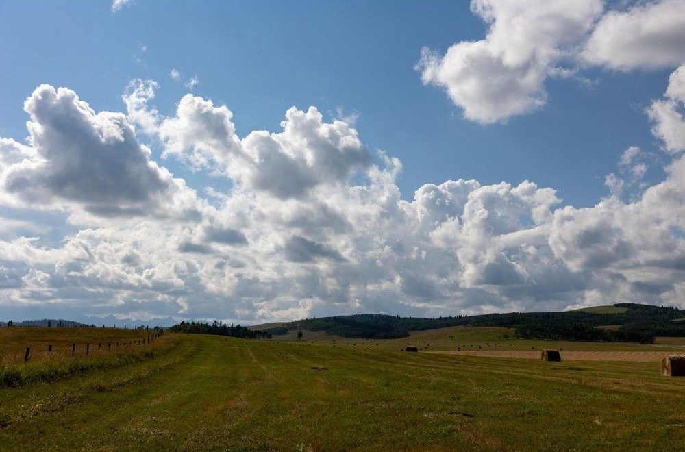 Alberta-shot drama Ride follows the multigenerational struggles of a ...