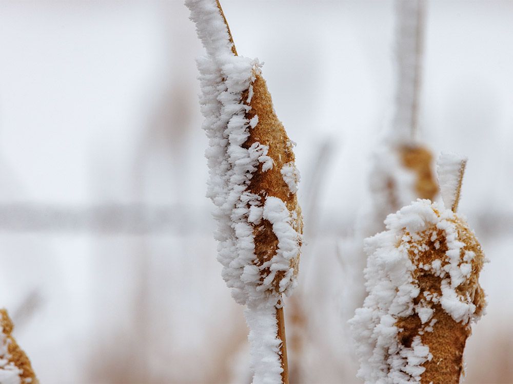 On the Road: Last frost | Calgary Herald
