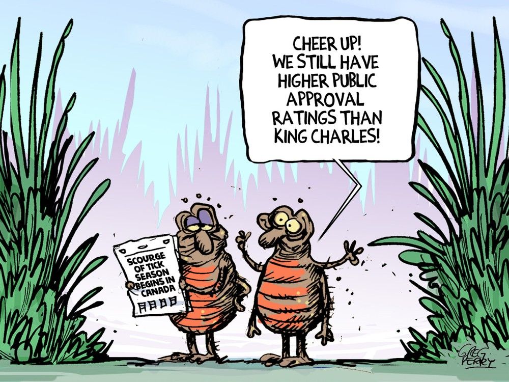 Editorial cartoons: Calgary Expo, signs of spring and empty office ...