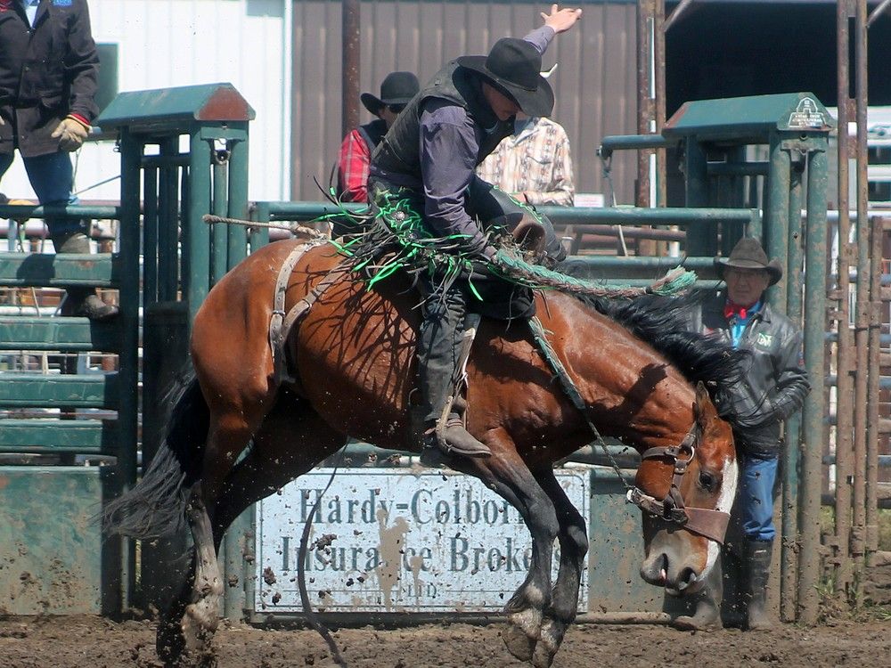 An insider's guide to small-town Alberta | Calgary Herald