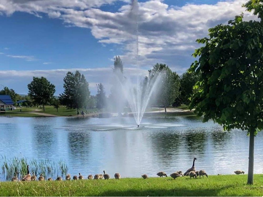 An insider's guide to small-town Alberta | Calgary Herald