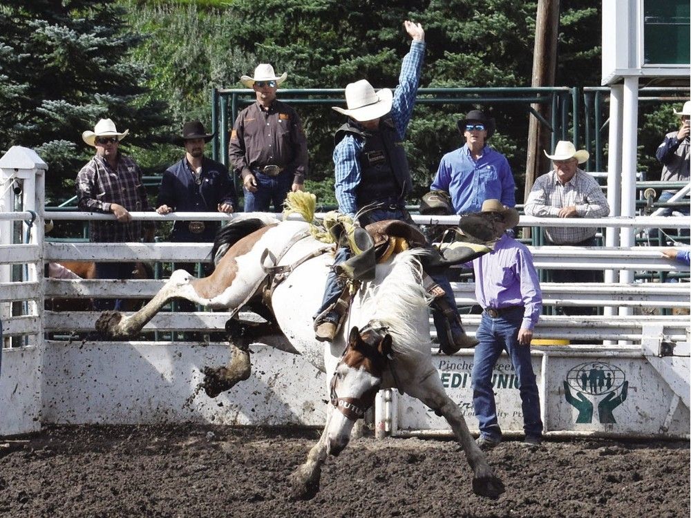 An insider's guide to small-town Alberta | Calgary Herald