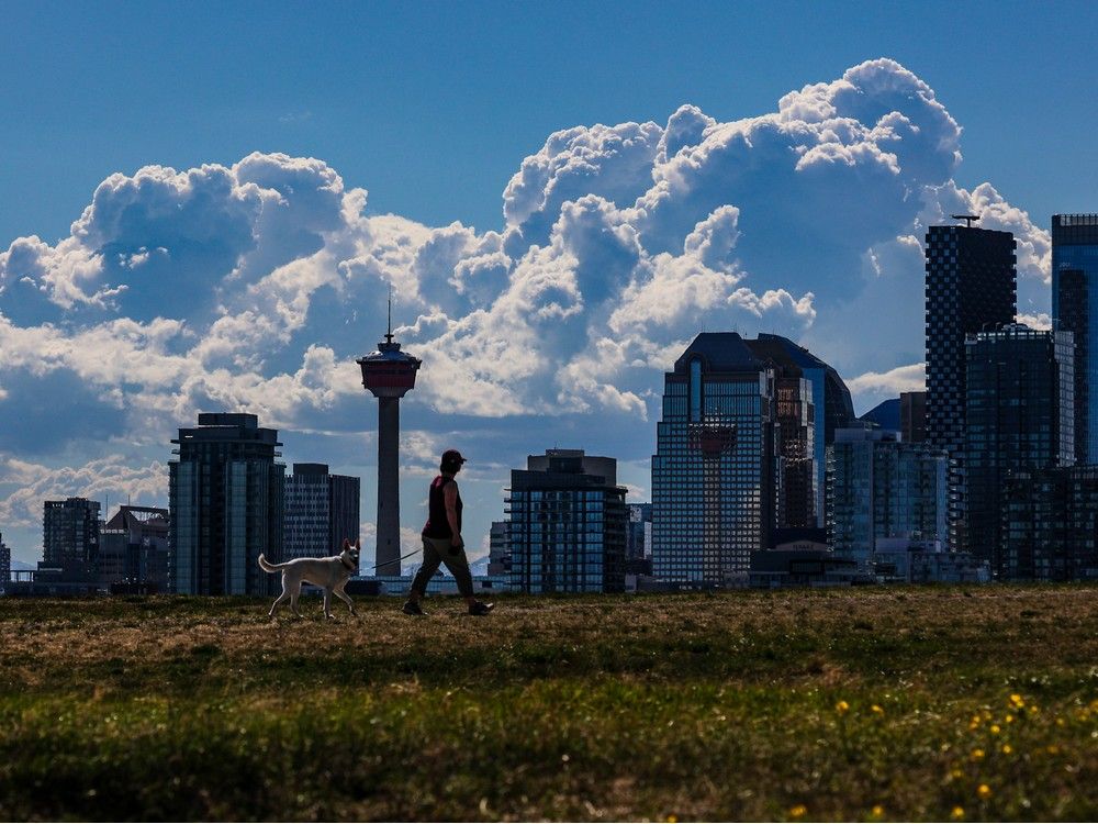 Eight things to do in Calgary for May long weekend | Calgary Herald