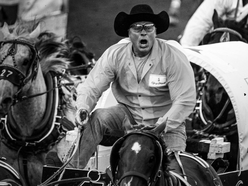 Calgary Stampede: A look at the incredible faces of chuckwagon drivers ...