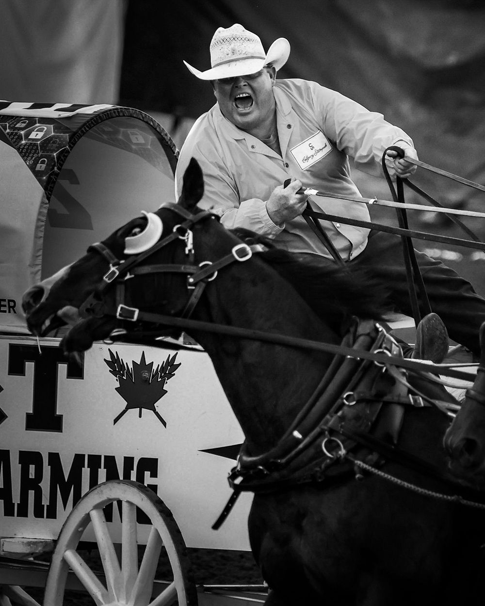 Calgary Stampede: A look at the incredible faces of chuckwagon drivers ...