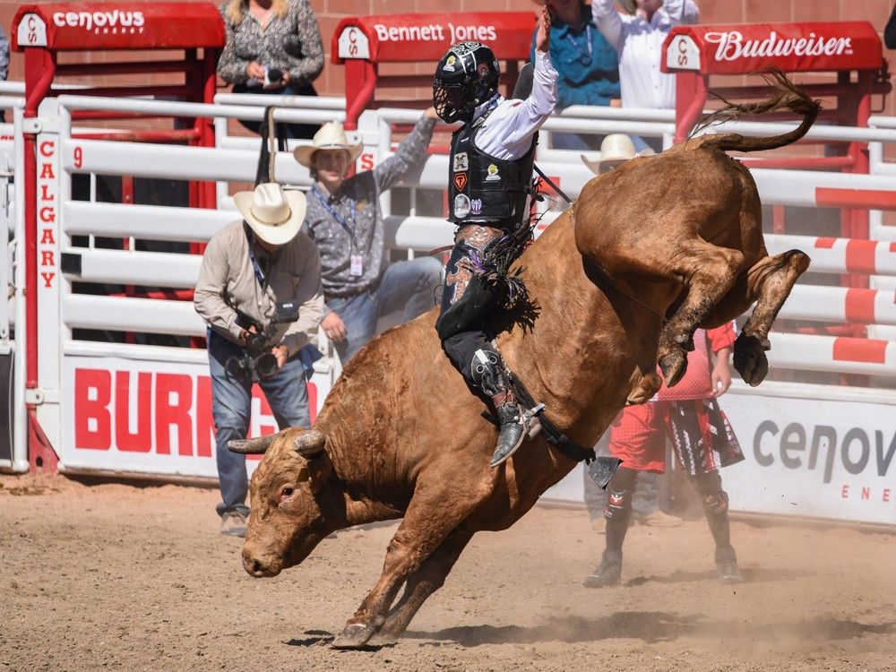 Rodeo-Chucks News - Calgary Stampede | Calgary Herald