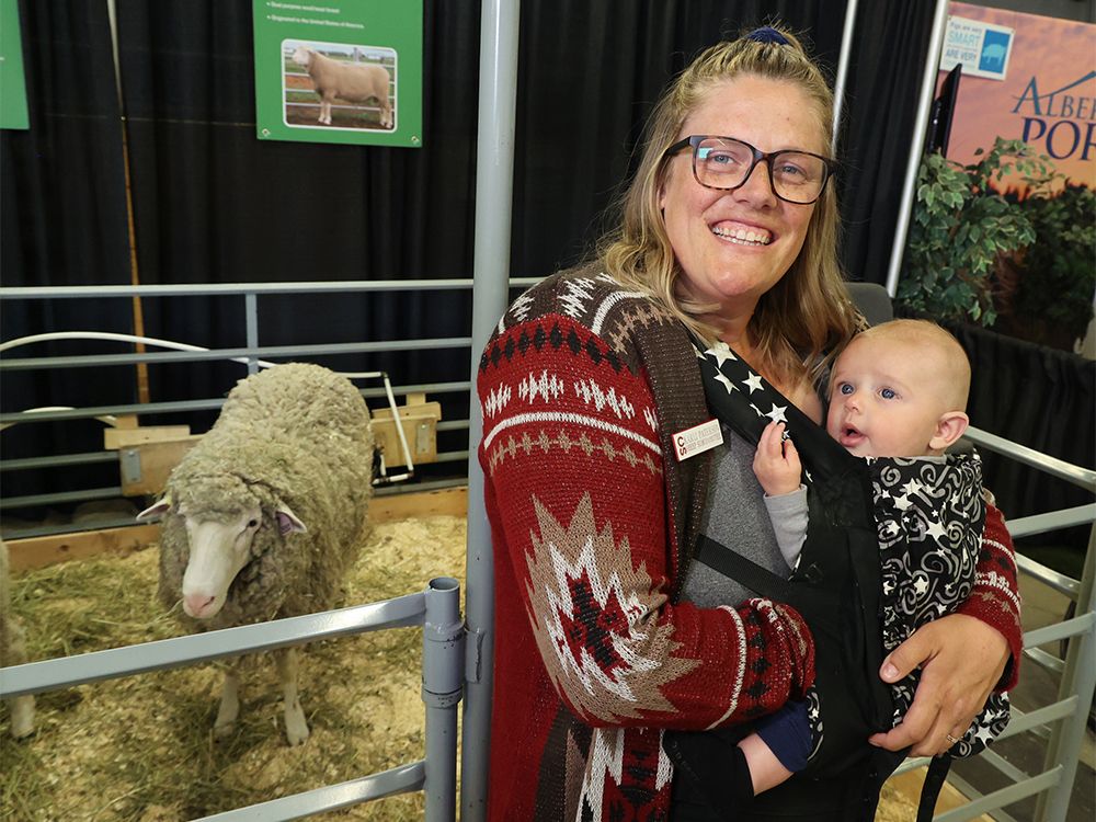 Environmental stewardship takes centre stage for producers at Stampede ...
