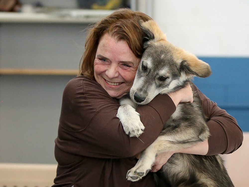 Volunteering by Calgary seniors brings personal and societal benefits ...