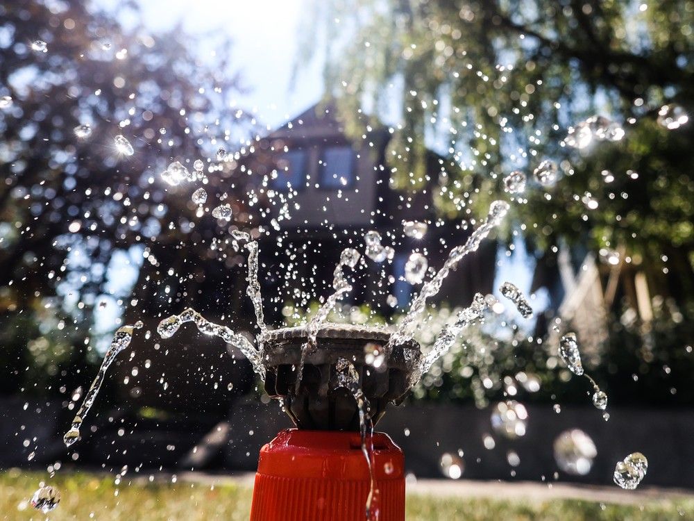 Amid drought conditions, Calgary restricts outdoor water use | Calgary ...