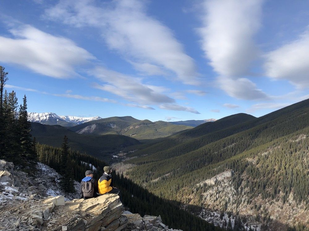 How is clear cutting the forest even an option in Kananaskis Country ...