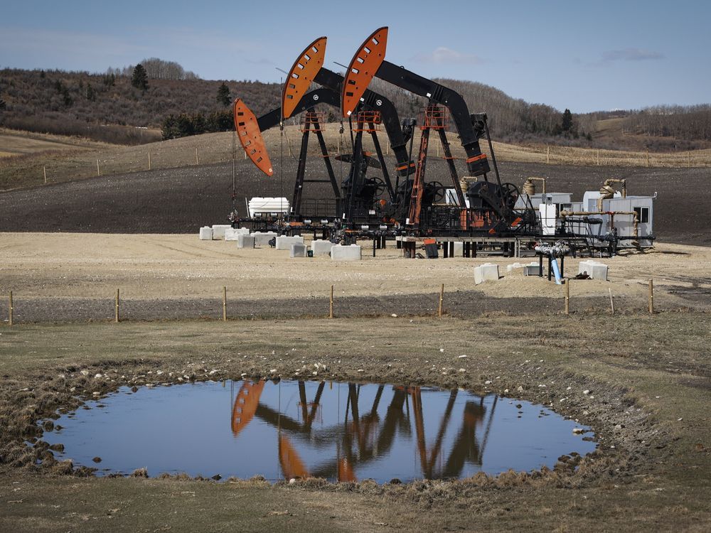 Growing number of forecasts predict oil will reach US$100 this fall ...