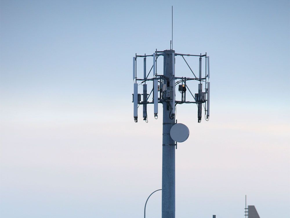Councillor hopes impending cellphone tower improves cell service in ...