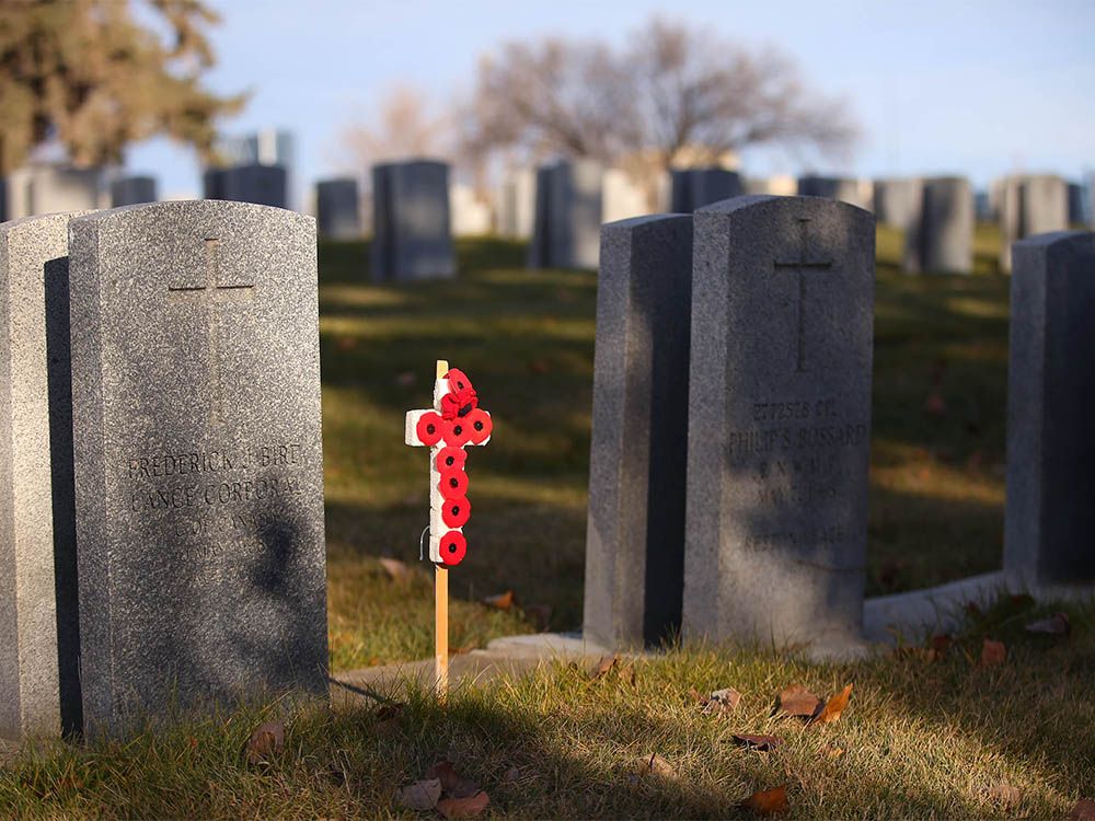 Calgary photographers out and around town for Remembrance Day weekend ...