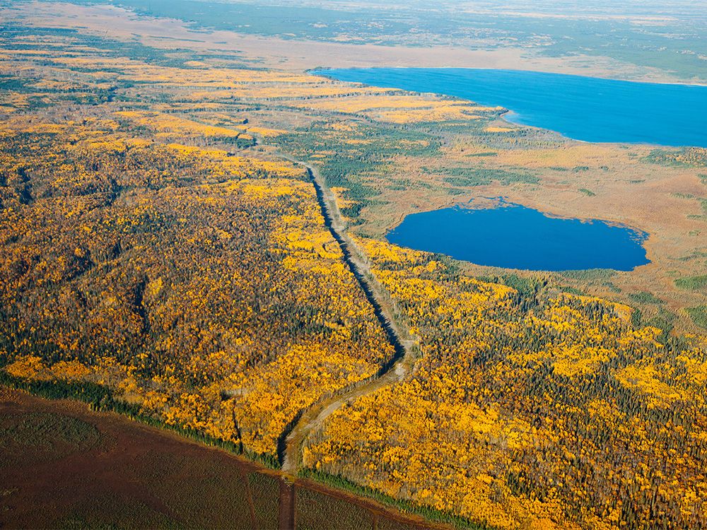 AER won’t reconsider approval for Suncor expansion into wetland ...