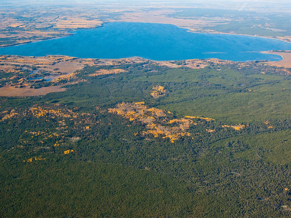AER won’t reconsider approval for Suncor expansion into wetland ...