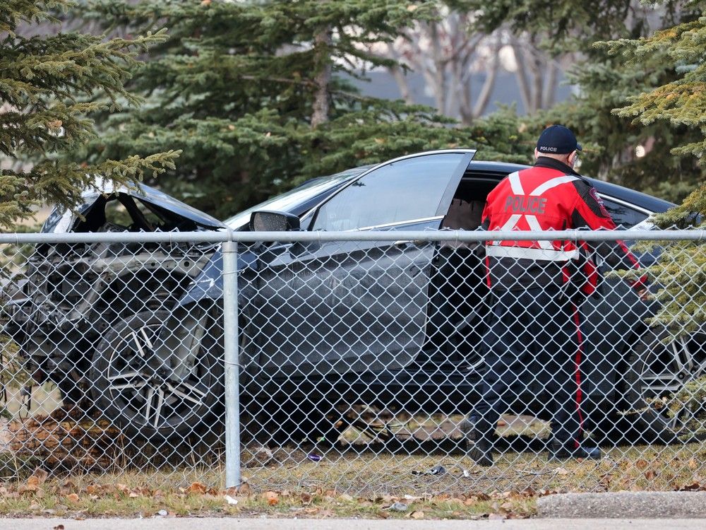 Police seek security camera and dashcam video in N.E. Calgary shooting ...