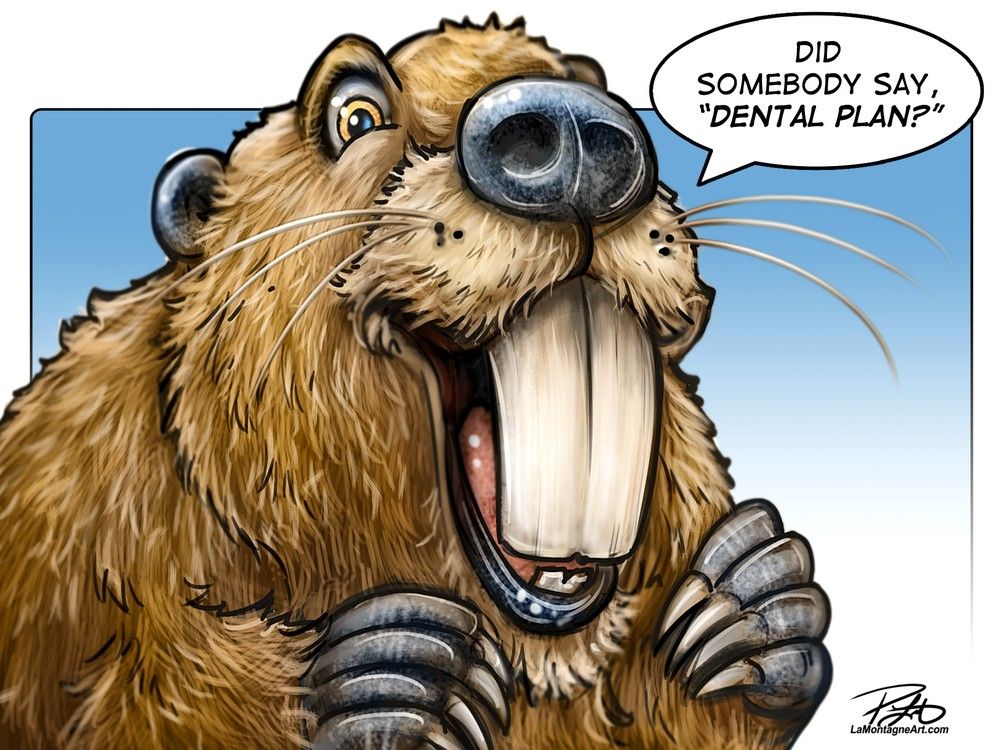 Editorial cartoons from the past week | Calgary Herald