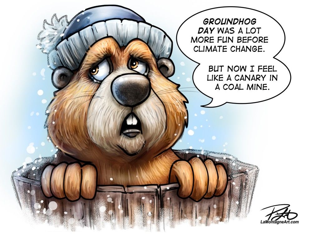 Wit and wisdom: A weeks' worth of editorial cartoons | Calgary Herald