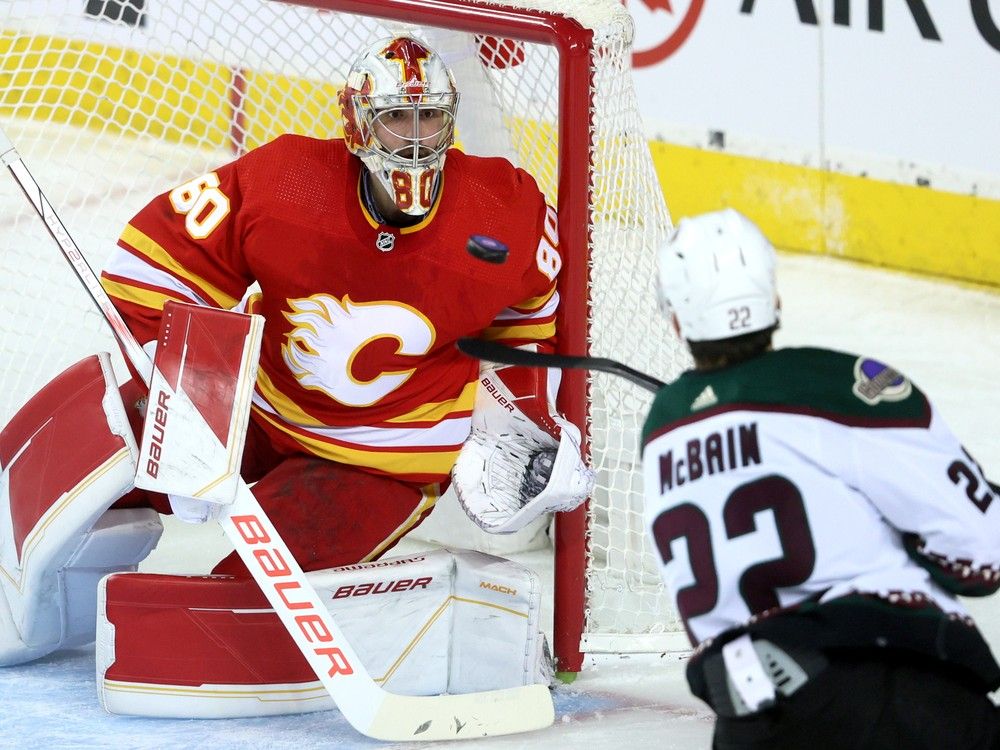 Calgary Flames netminder Dan Vladar says he's ‘pain-free’ | Calgary Herald