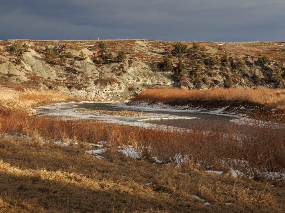 As Crowsnest River runs dry, Pincher Creek forced to dig for water ...
