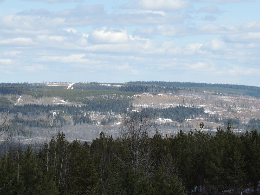 Alberta coal test mine proceeds without necessary permits, groups say ...