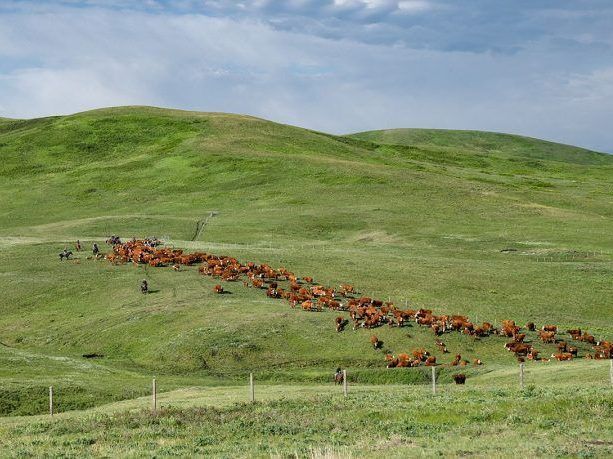Largest nature conservation agreement in Canadian history announced ...
