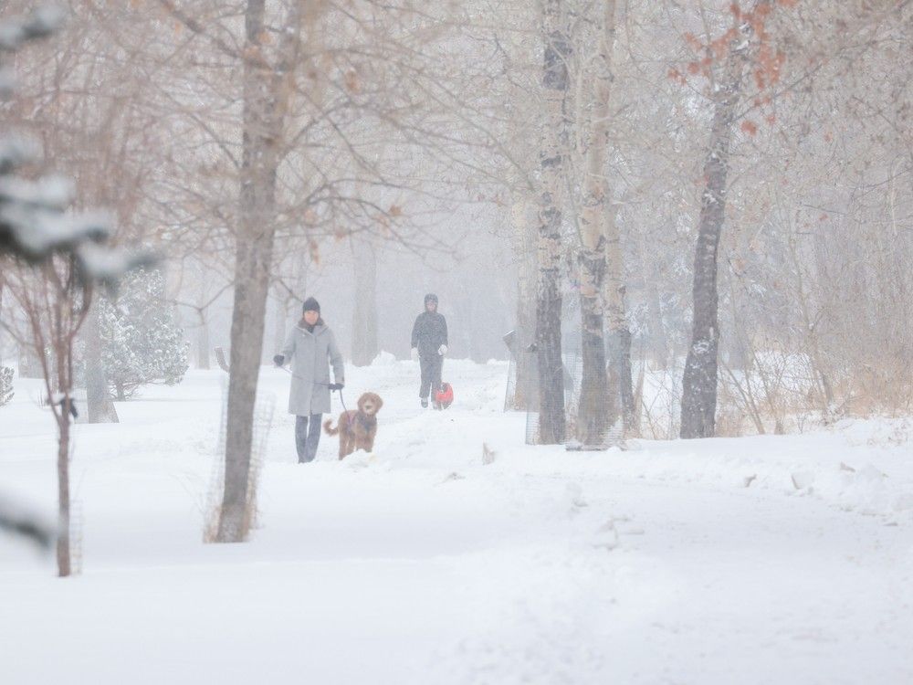 Weather warnings in southern Alberta call for as much as 20 cm of snow ...