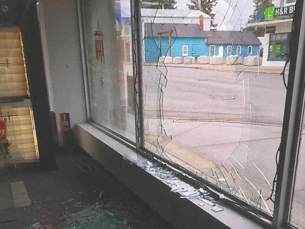 Black bear has late-night visit at Pincher Creek office supply store ...