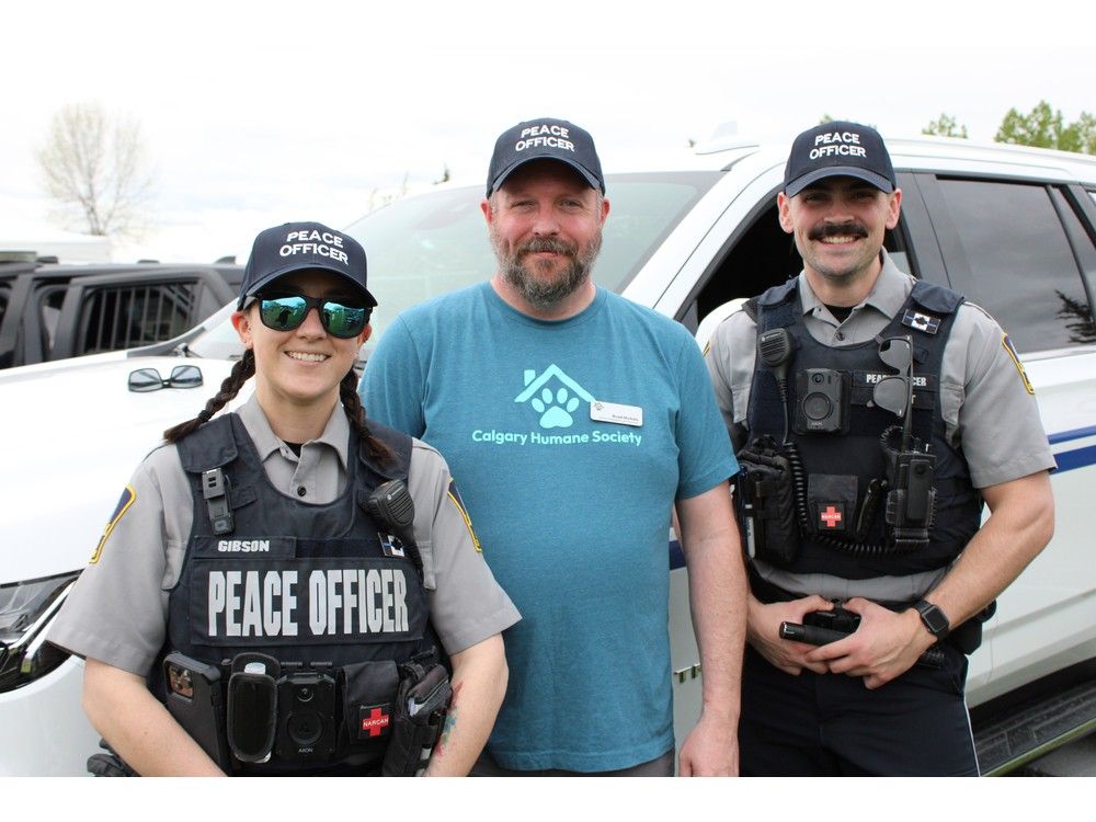 Calgary Humane Society, Dog Jog | Calgary Herald