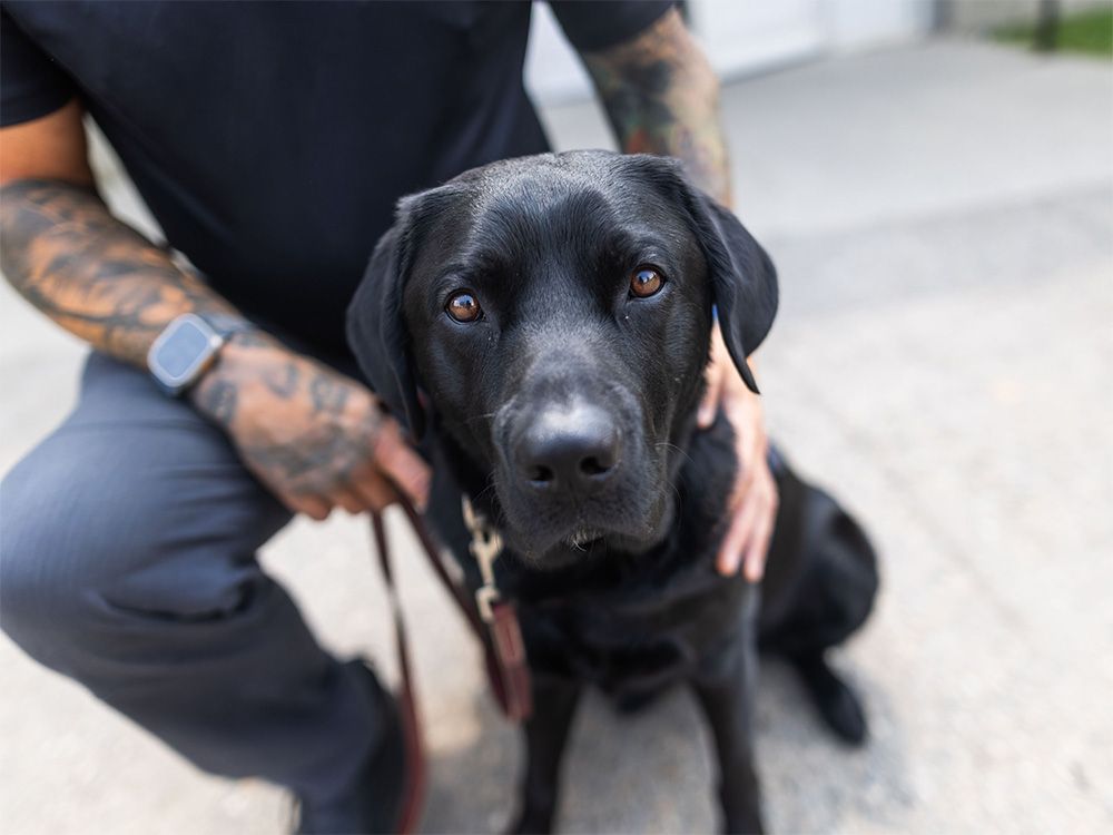 Jasper map shows extent of wildfire destruction; town hall to be held ...