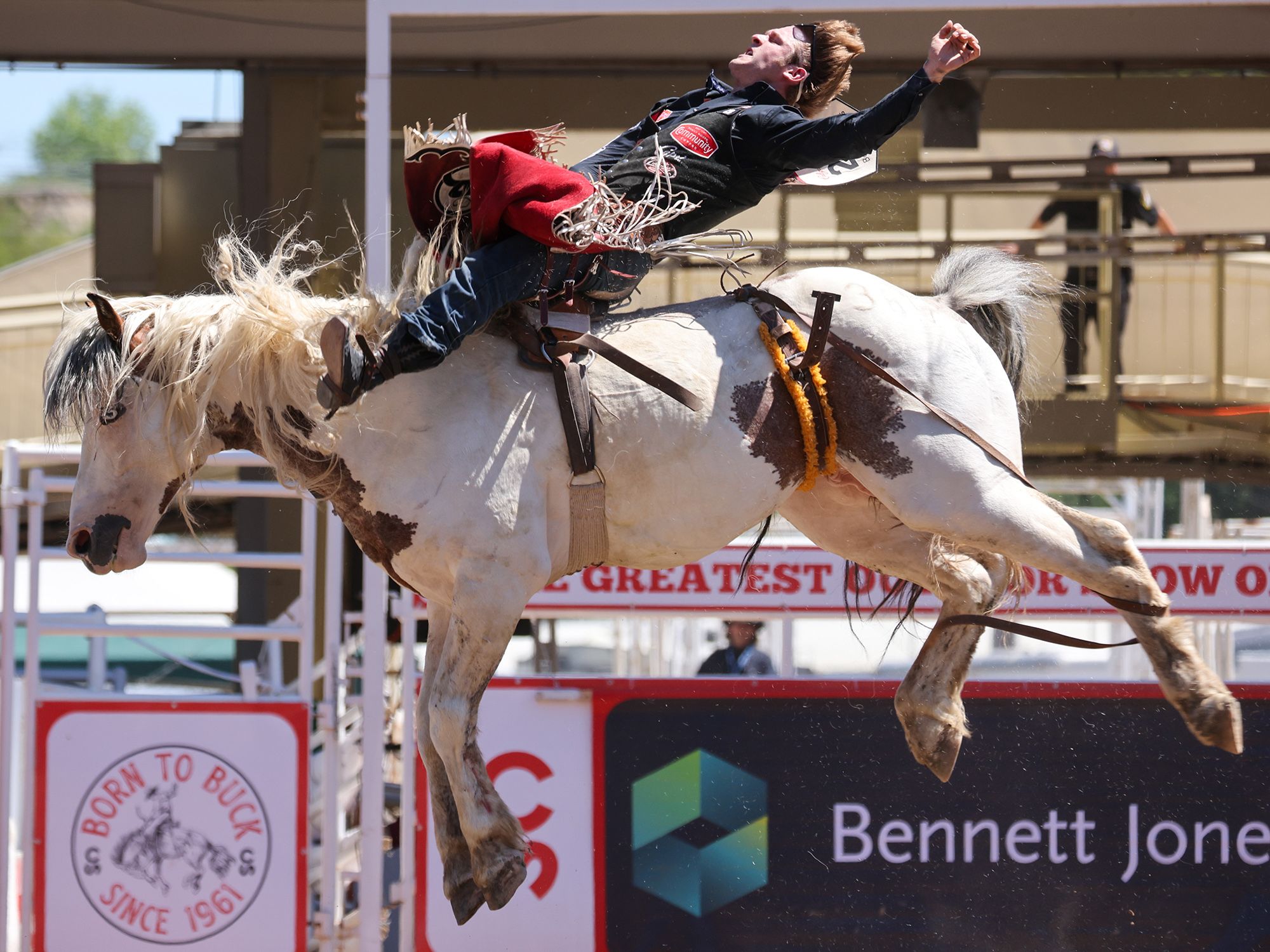 Rodeo stars flying private to help pick up Calgary Stampede paycheques ...