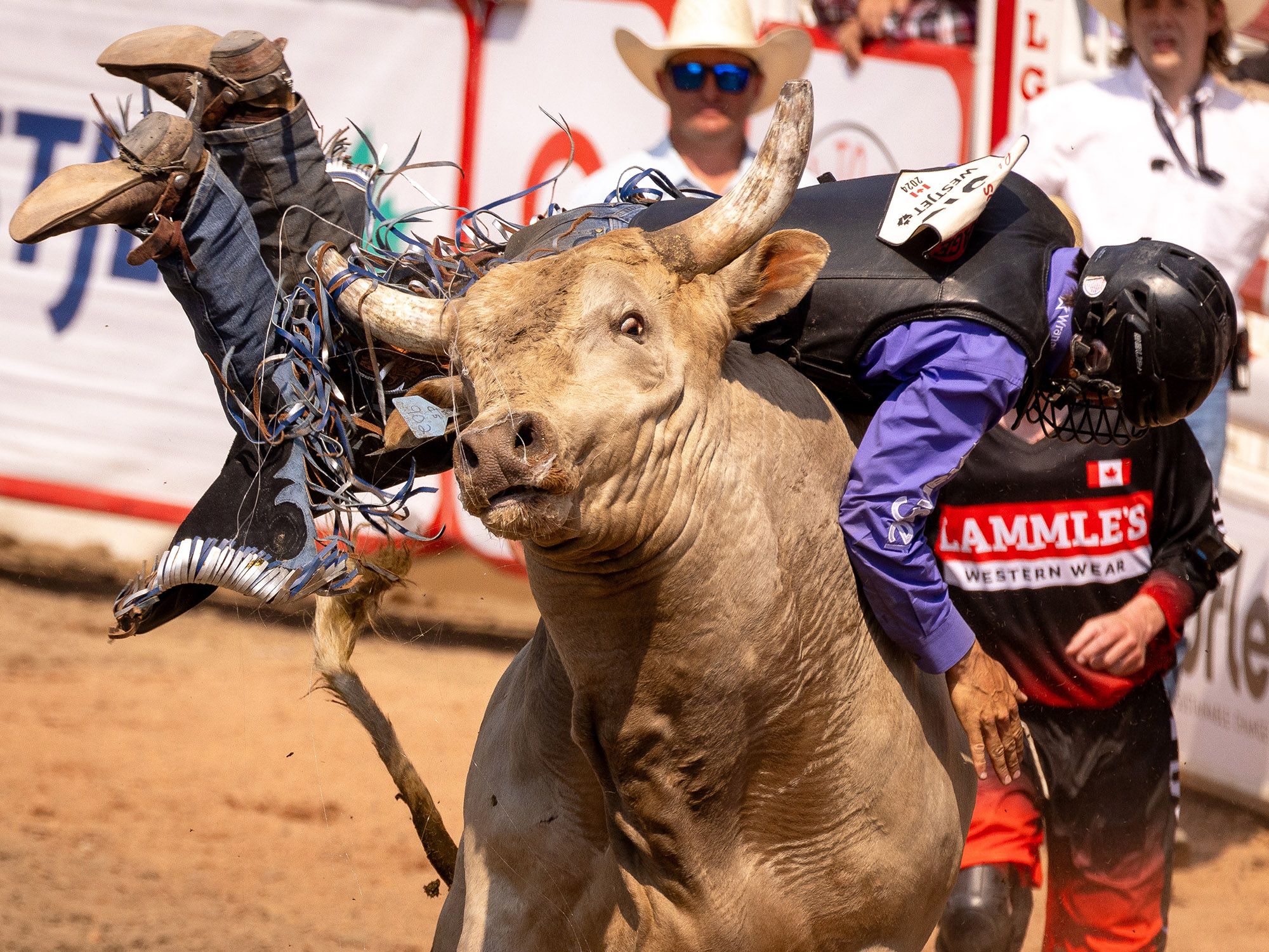 RODEO NOTES: Carlee Otero at Calgary Stampede with Red Deer roots ...
