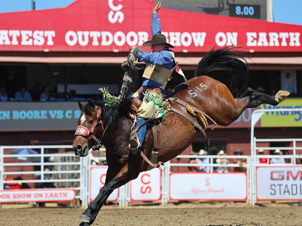 Calgary photographers around town for the final weekend of Stampede ...