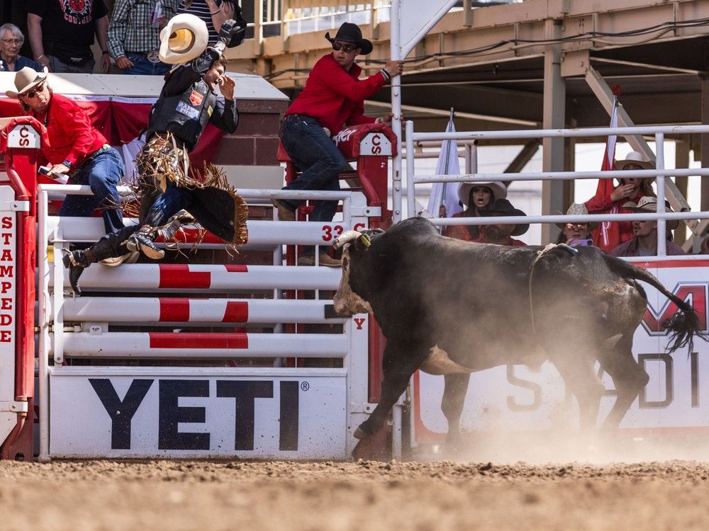 RODEO NOTES: Airdrie Aussie rider Callum Miller on to Showdown Sunday ...