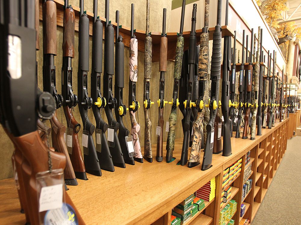 Braid: Bill of Rights with UCP board OK would allow all guns | Calgary ...