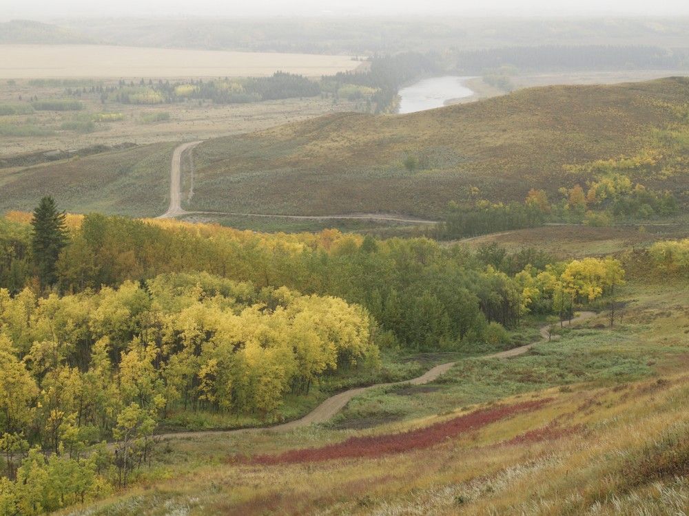 Ridges and valleys: Making the most of summer at Glenbow Ranch ...