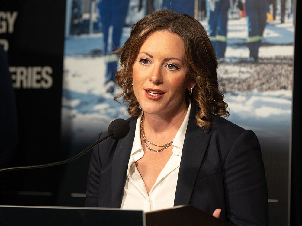 Environment minister to make the case for Alberta industries at COP29 ...