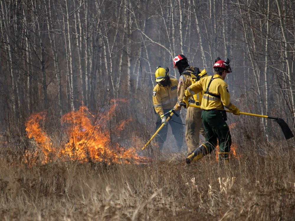 Southern Alberta facing extreme wildfire risk due to dry, warm October ...