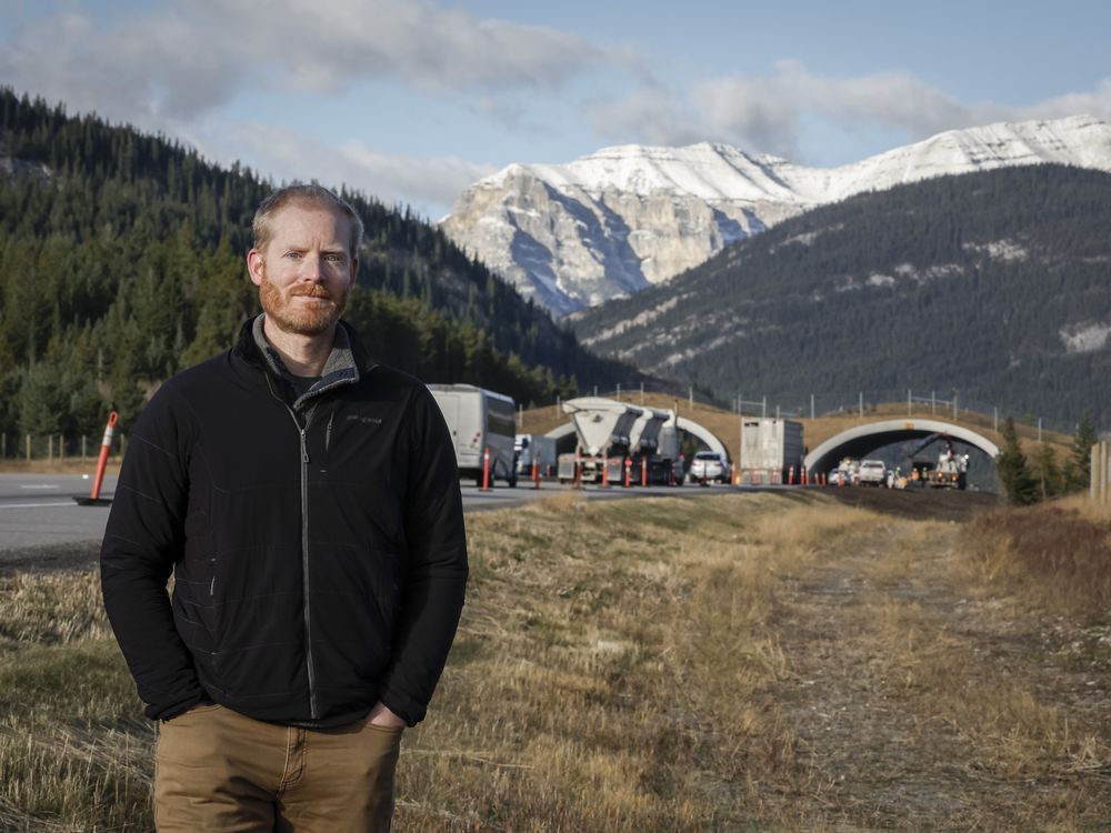 Siksika Nation artist Adrian Stimson takes a unique look at Calgary ...