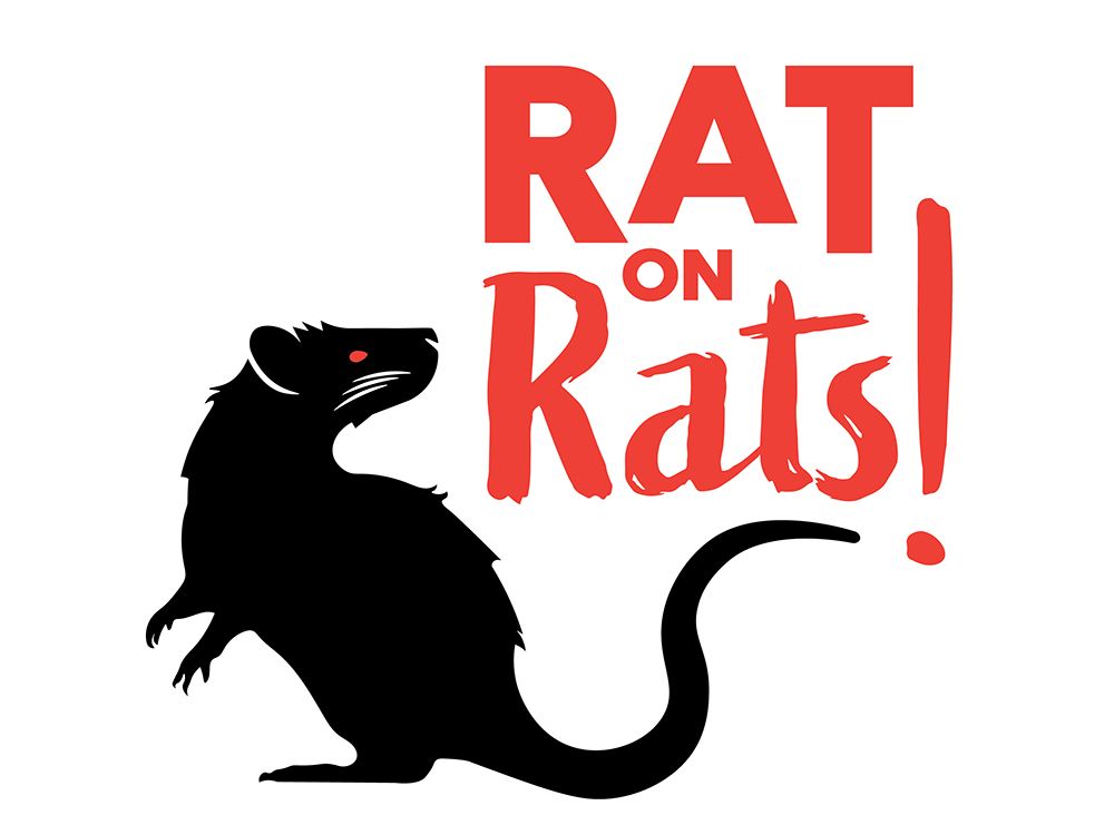 'Rat on Rats!' program launches to keep the rodents out of Alberta ...