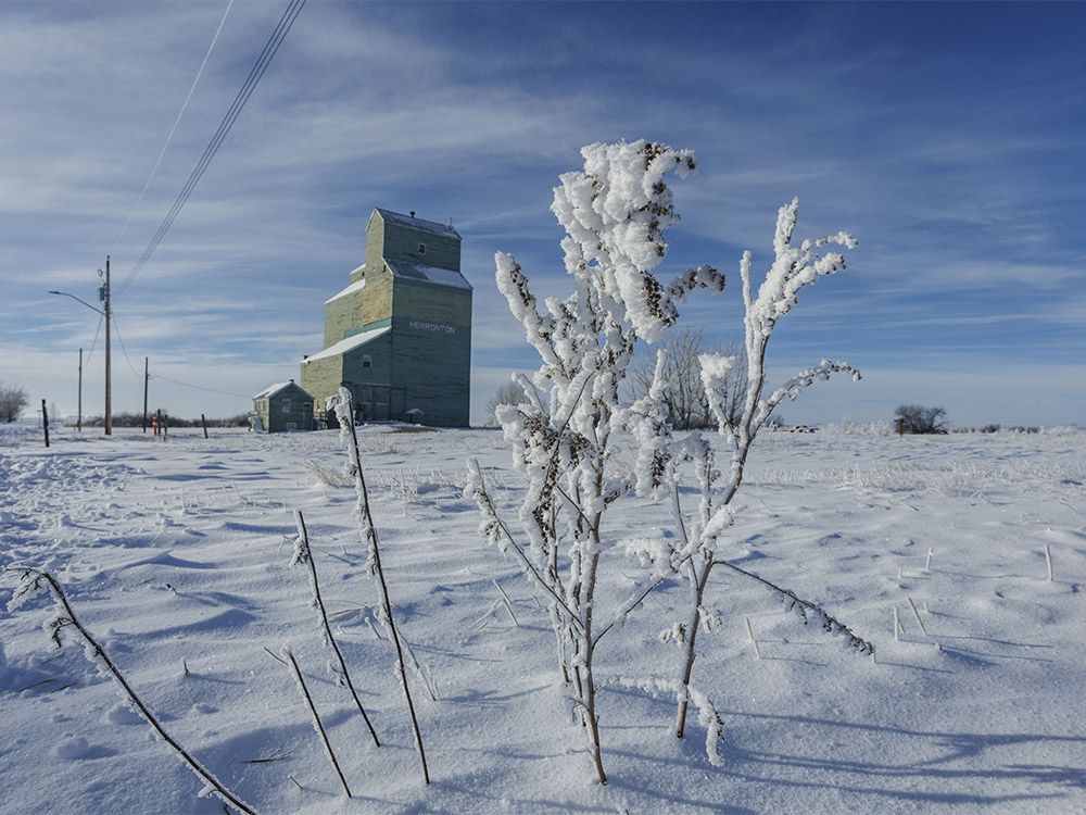 On the Road: Crystals of the cold | Calgary Herald
