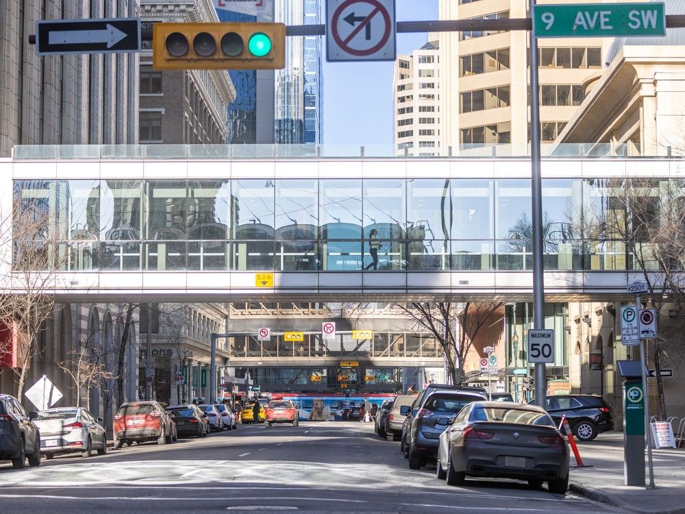 City council faces tight timeline to consider elevated Green Line ...