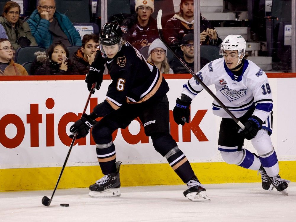 Where does Team Sweden’s Axel Hurtig fit in Flames’ future plans ...