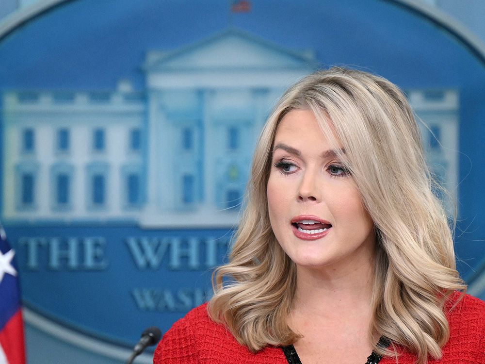 Calgary trans model Harlow Monroe aiming for the top in world of high ...