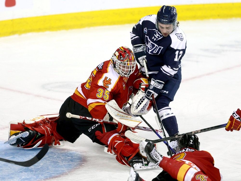 Dinos-Cougars Crowchild Classic hockey showdown set for Jan. 31 ...