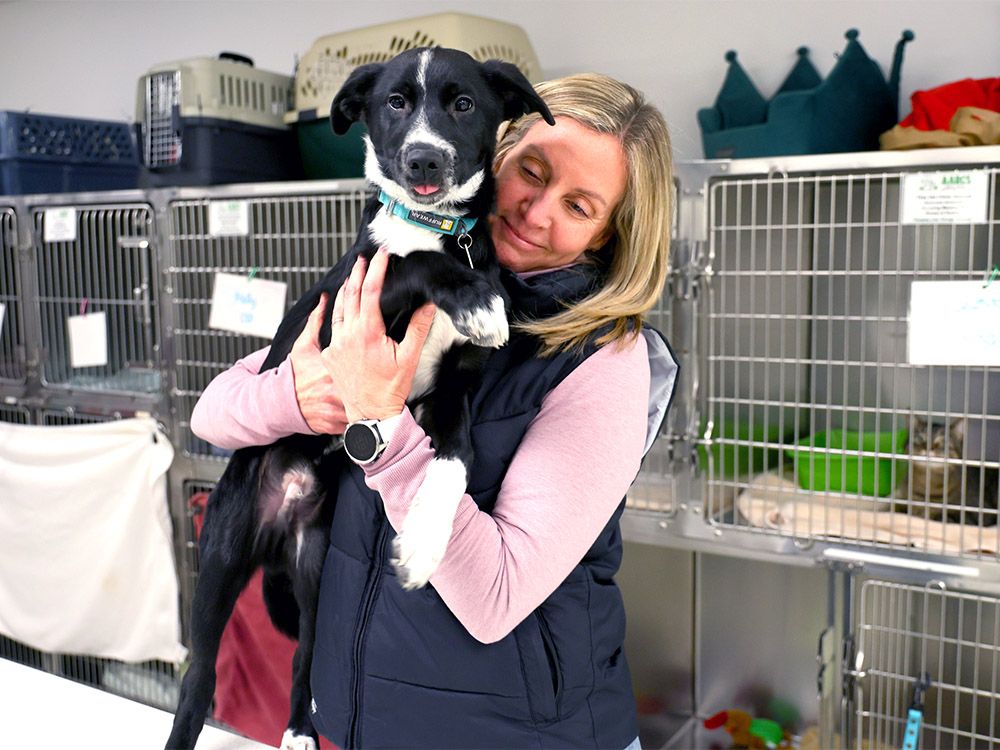 Focus turns to Calgary's AARCS facility as Edmonton's set to close ...