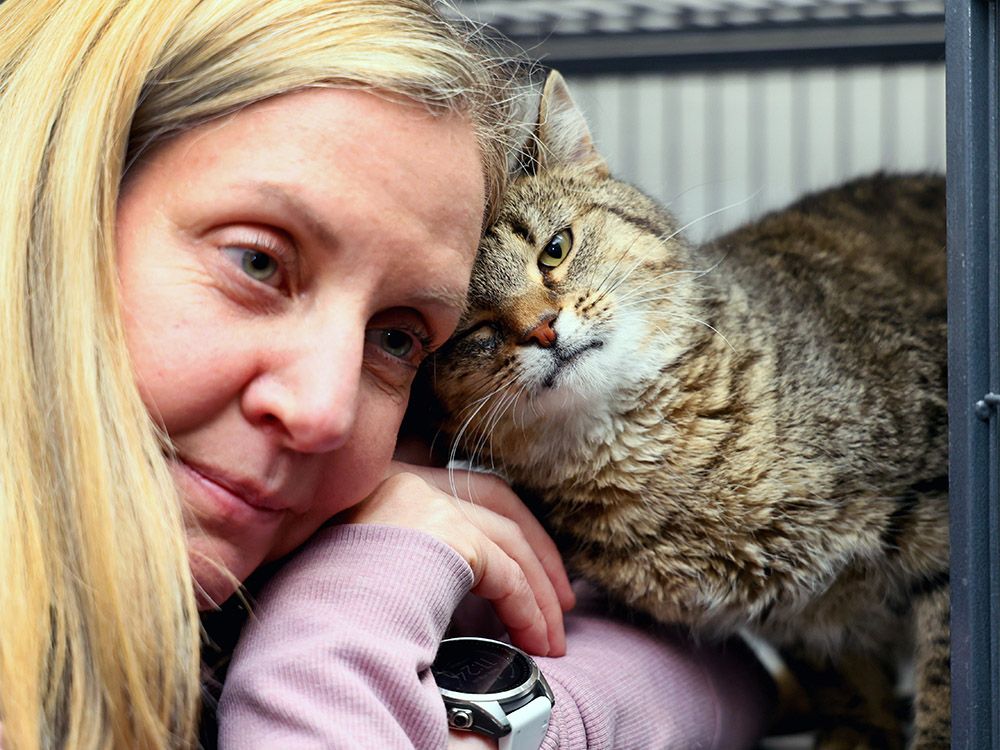 Focus turns to Calgary's AARCS facility as Edmonton's set to close ...