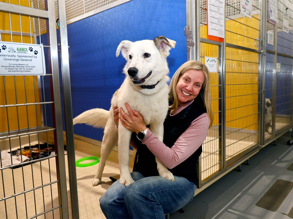 Focus turns to Calgary's AARCS facility as Edmonton's set to close ...