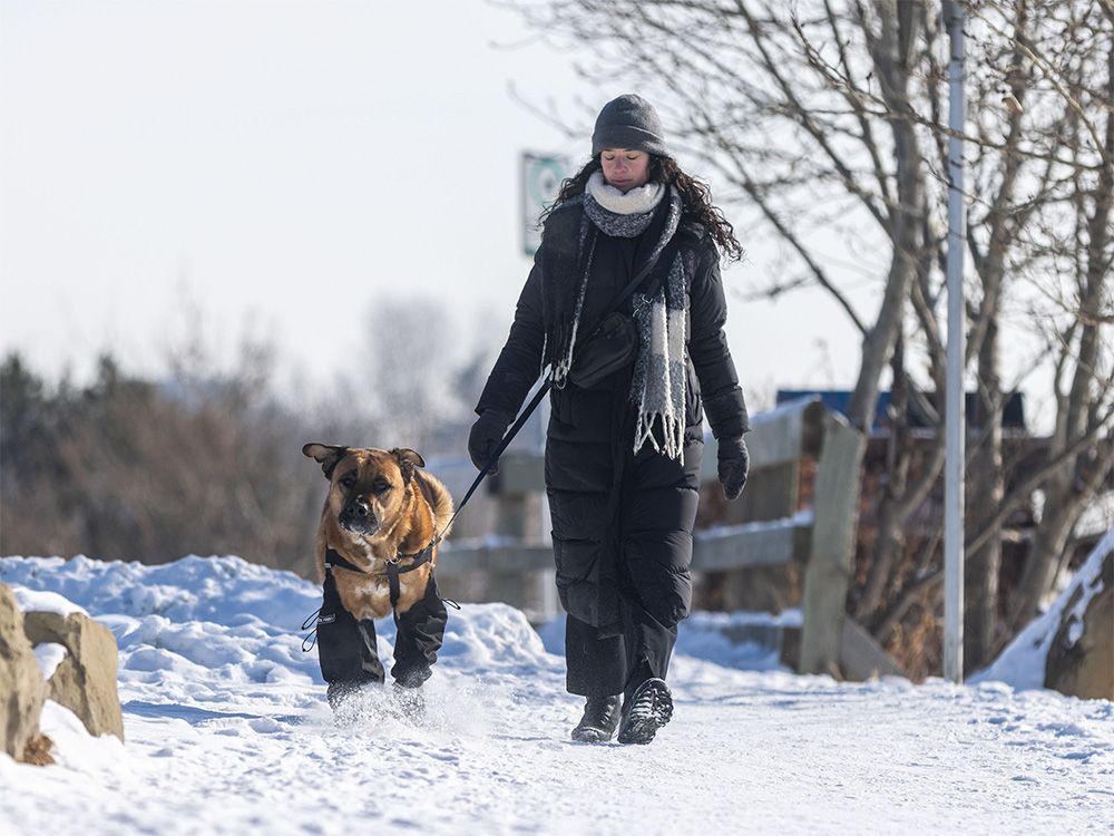 Extreme cold warning in effect for Calgary, with wind chill near -40 ...